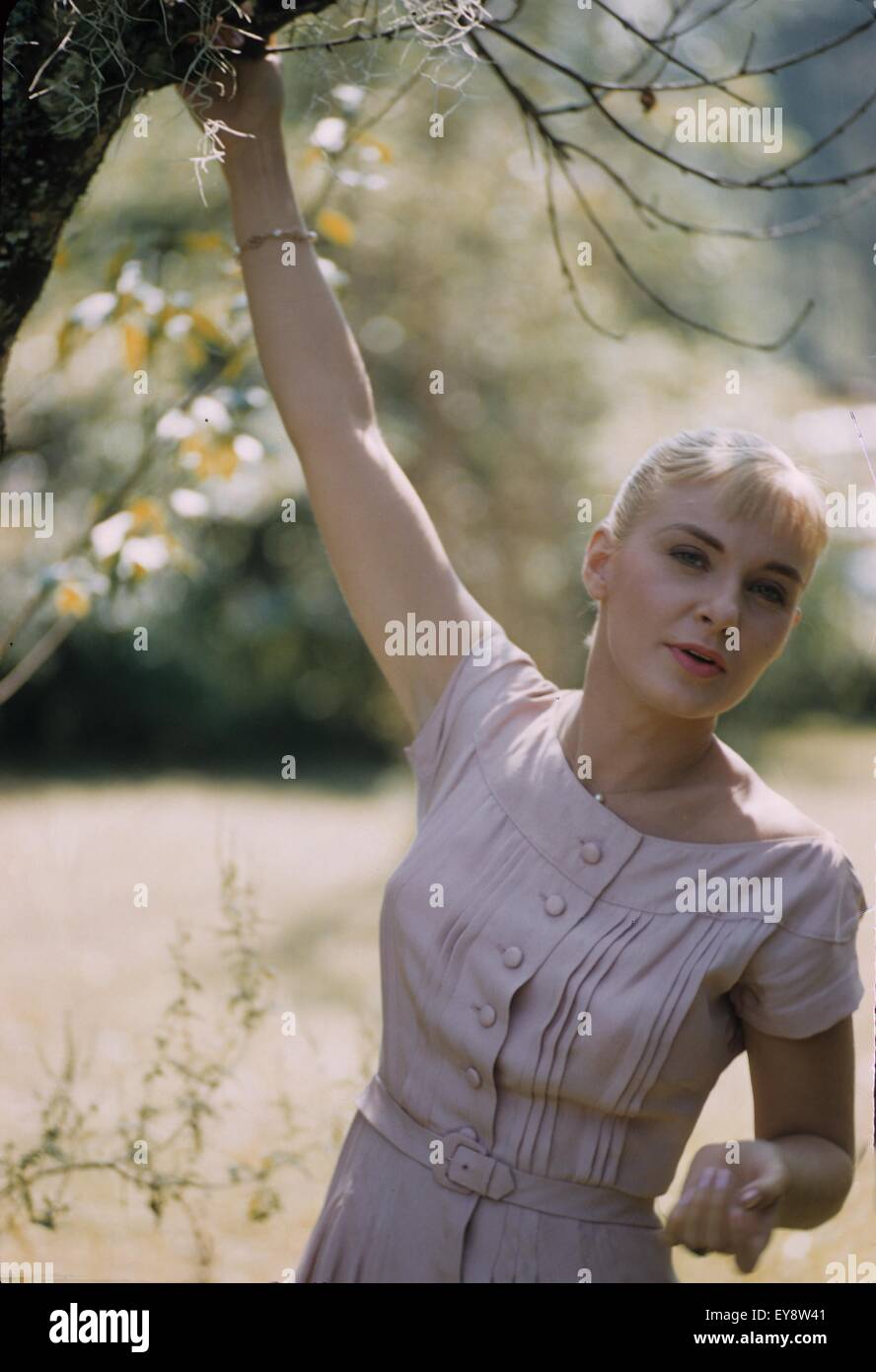 Joanne Woodward Stock Photos & Joanne Woodward Stock Images - Alamy