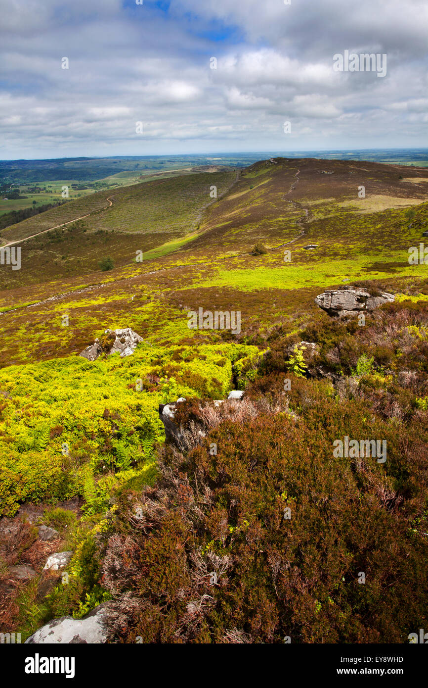 The Simonside Hills in the Northumberland National Park Rothbury ...