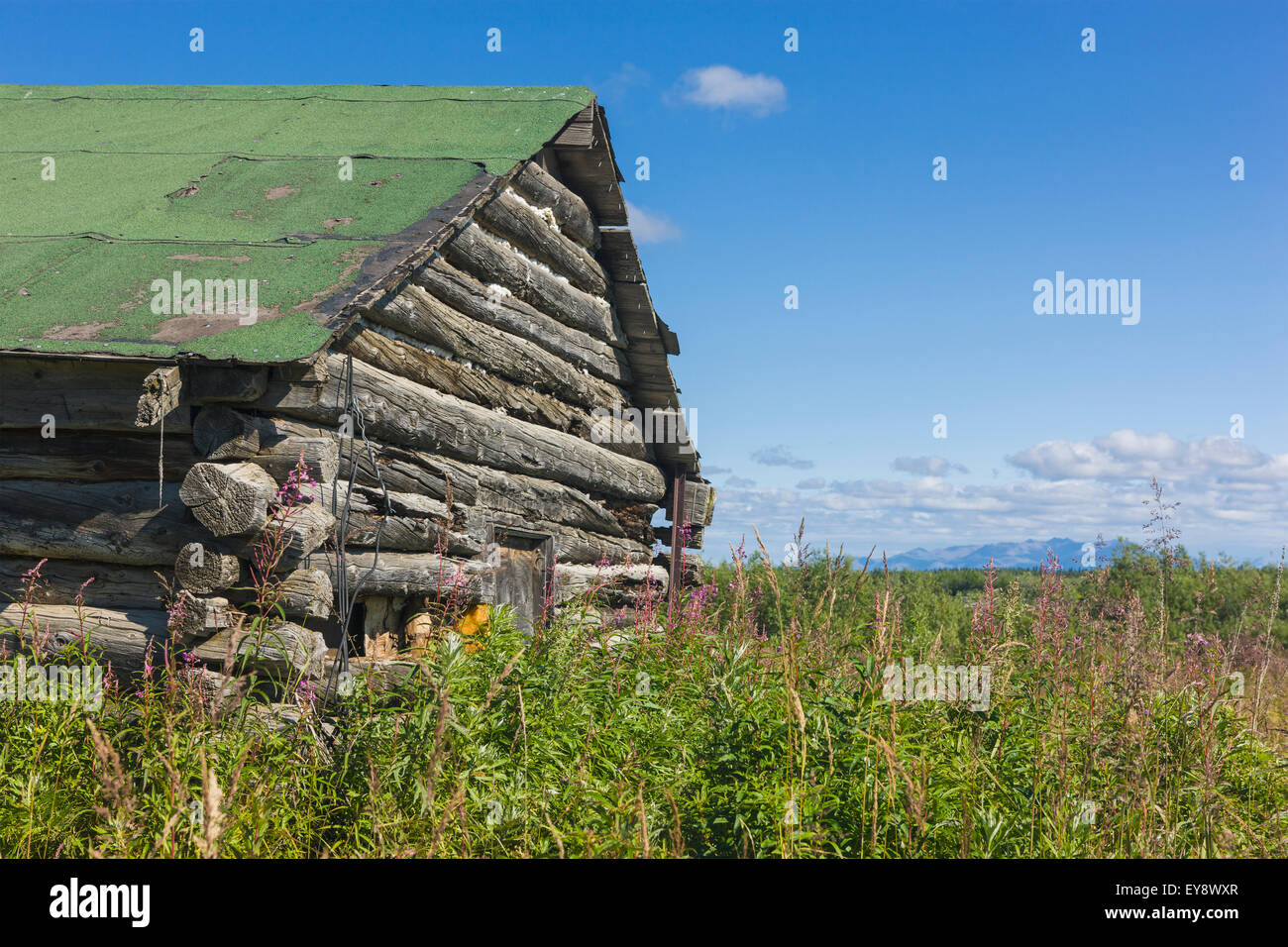Alaska abandoned log cabin hi-res stock photography and images - Alamy
