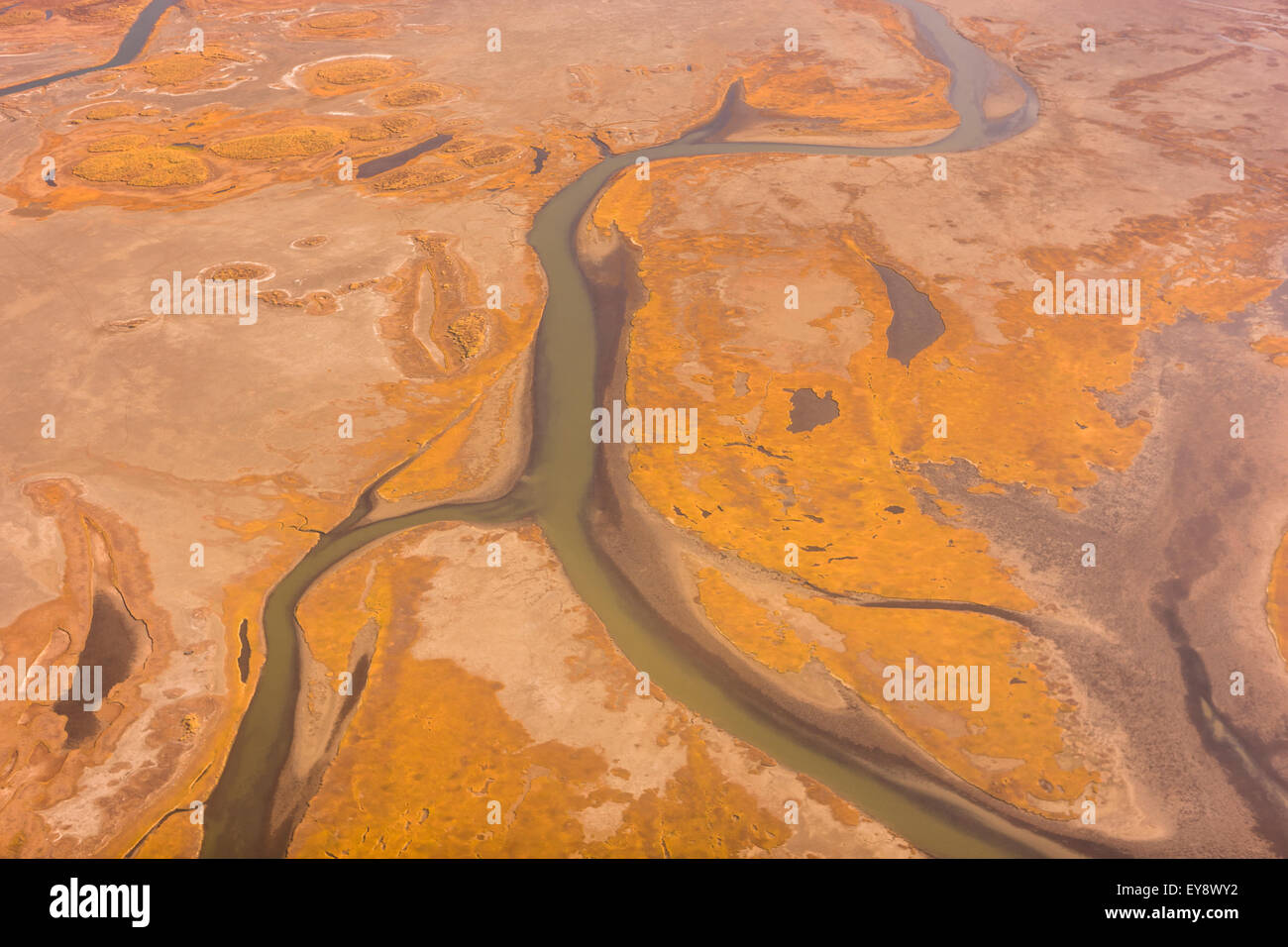 Aerial view of a branch of the Noatak River, lakes and tundra; Noatak ...