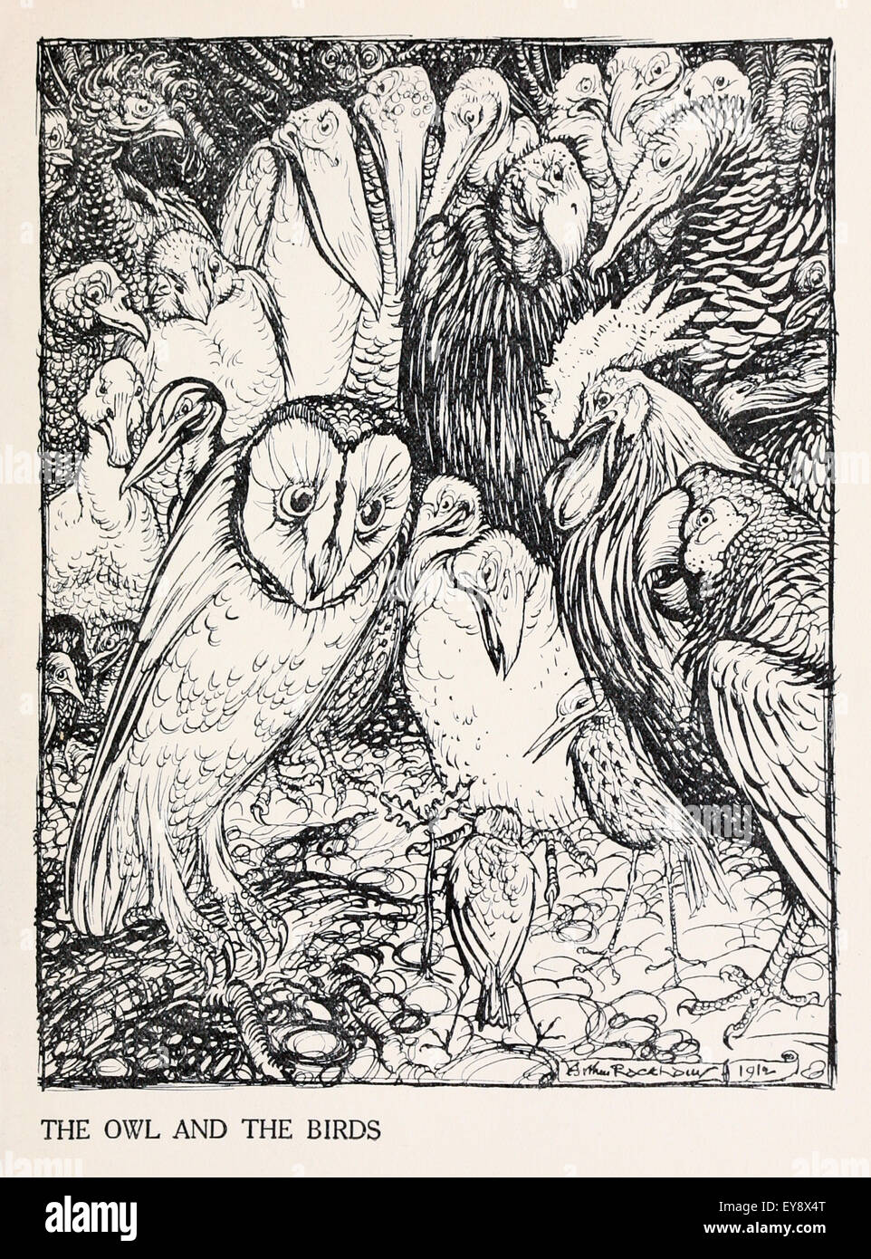 Fable Sparrow Drawing