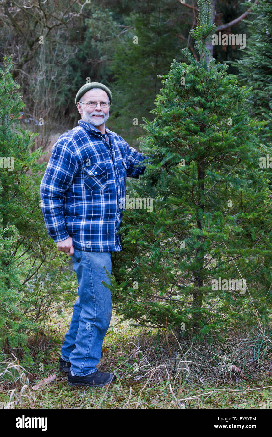 Christmas tree hunt hi-res stock photography and images - Alamy