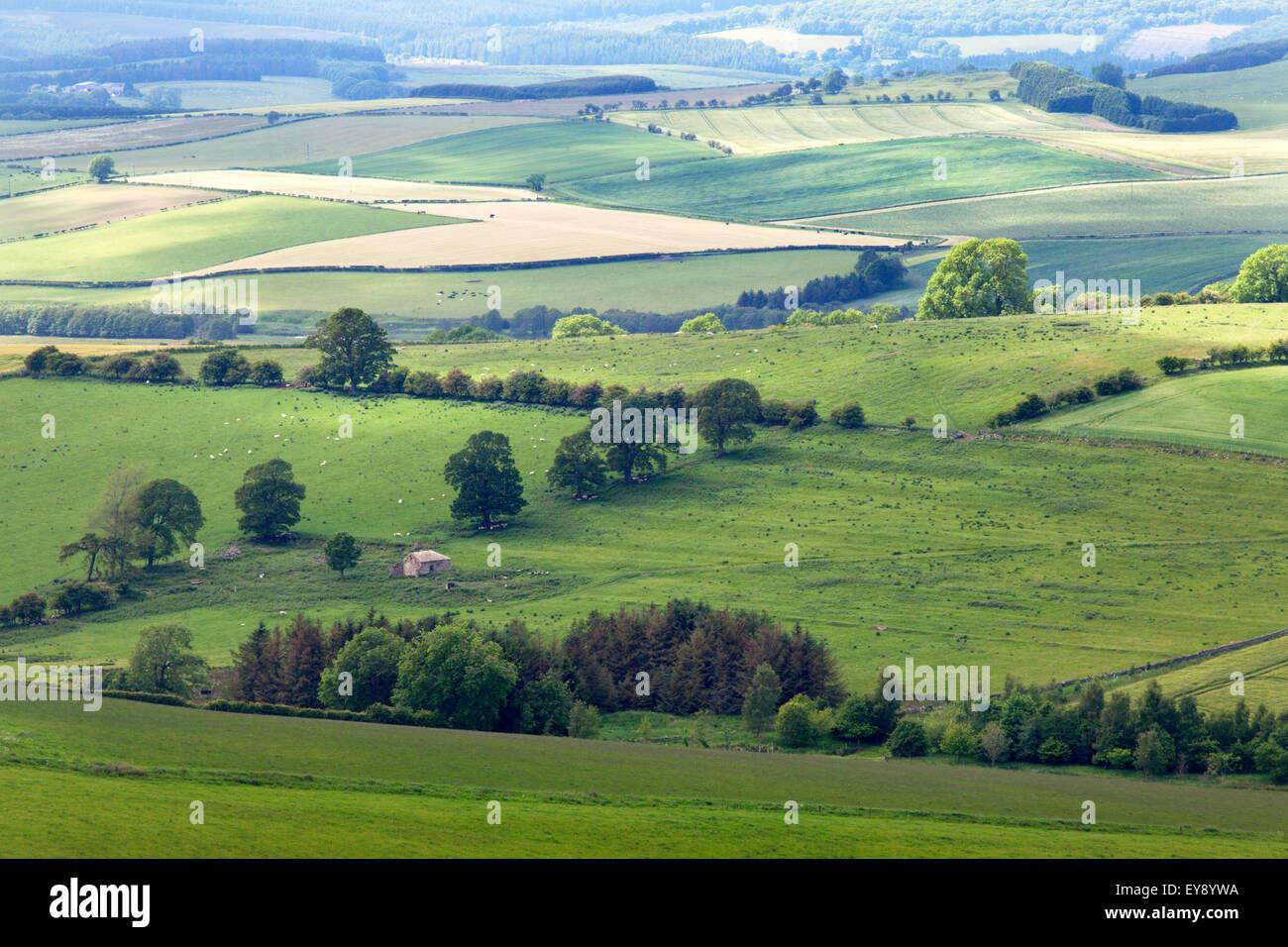 Coquetdale from Chester Hope near Great Tosson Rothbury Northumberland ...