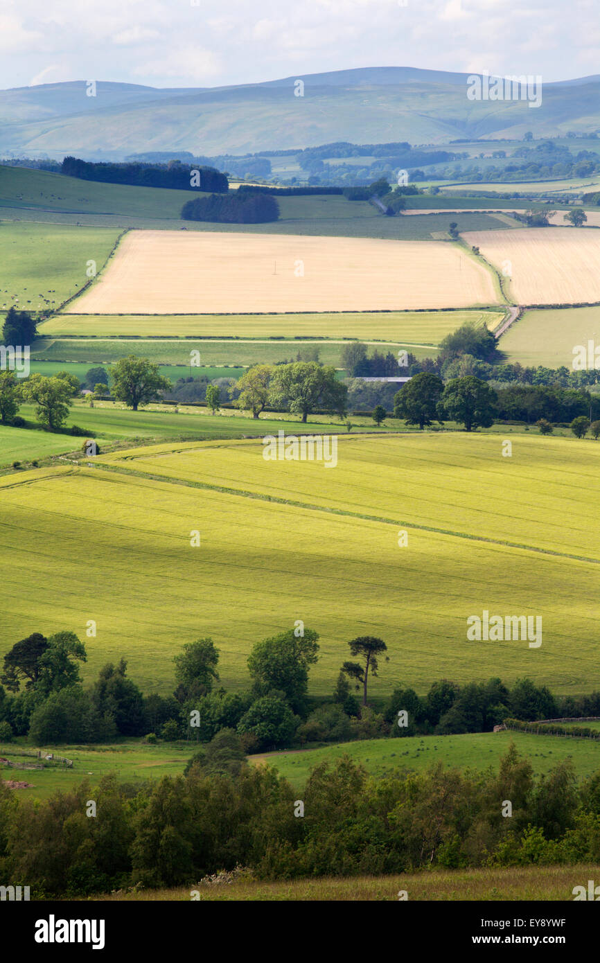 Coquetdale from Chester Hope near Great Tosson Rothbury Northumberland ...