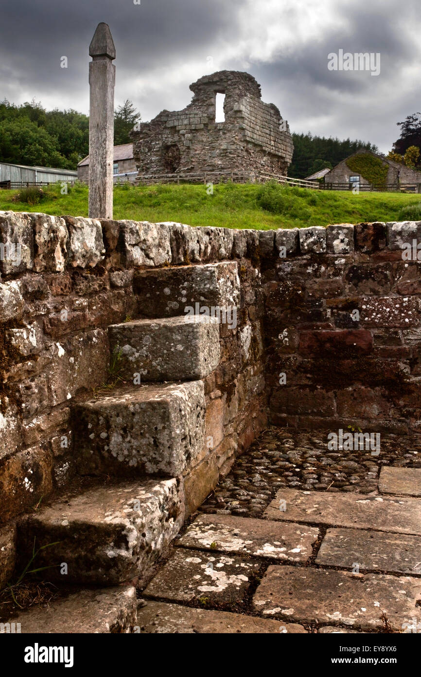 The Ruin of Tosson Tower on farmland at Great Tosson near Rothbury ...