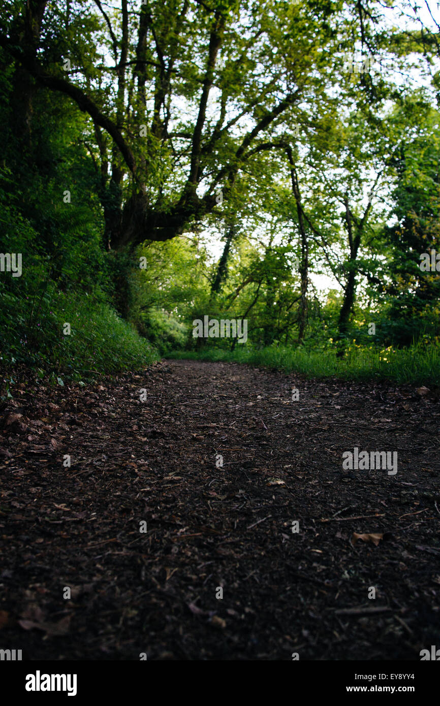 Empty trail hi-res stock photography and images - Alamy