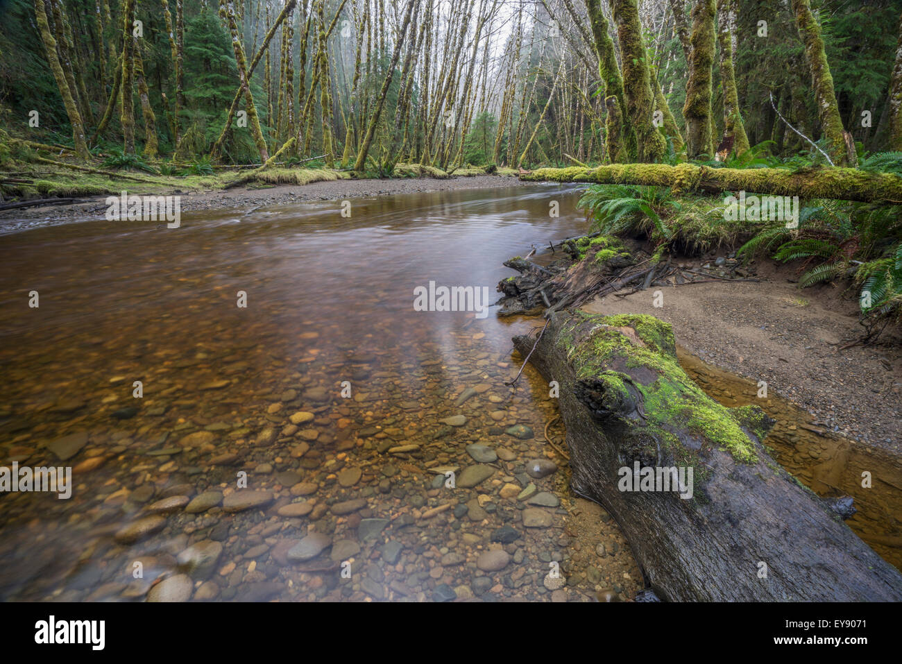 Sandspit british columbia hi-res stock photography and images - Alamy
