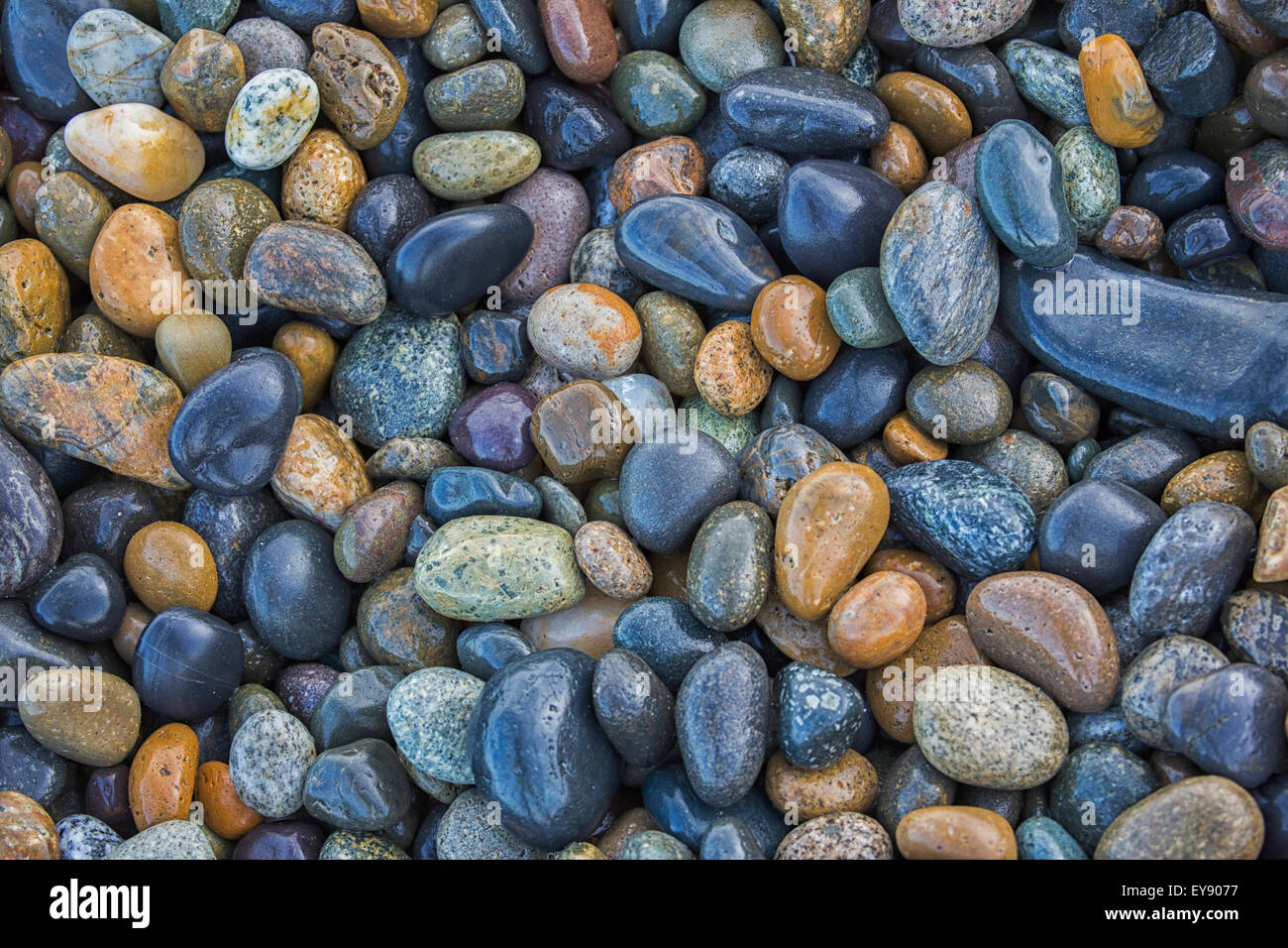 Multi-coloured rocks line the shoreline at Agate Beach, Naikoon ...