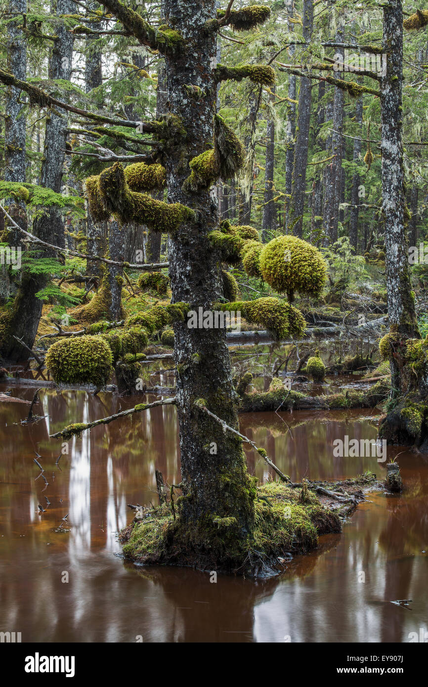 Naikoon provincial parkbritish columbia hi-res stock photography and ...