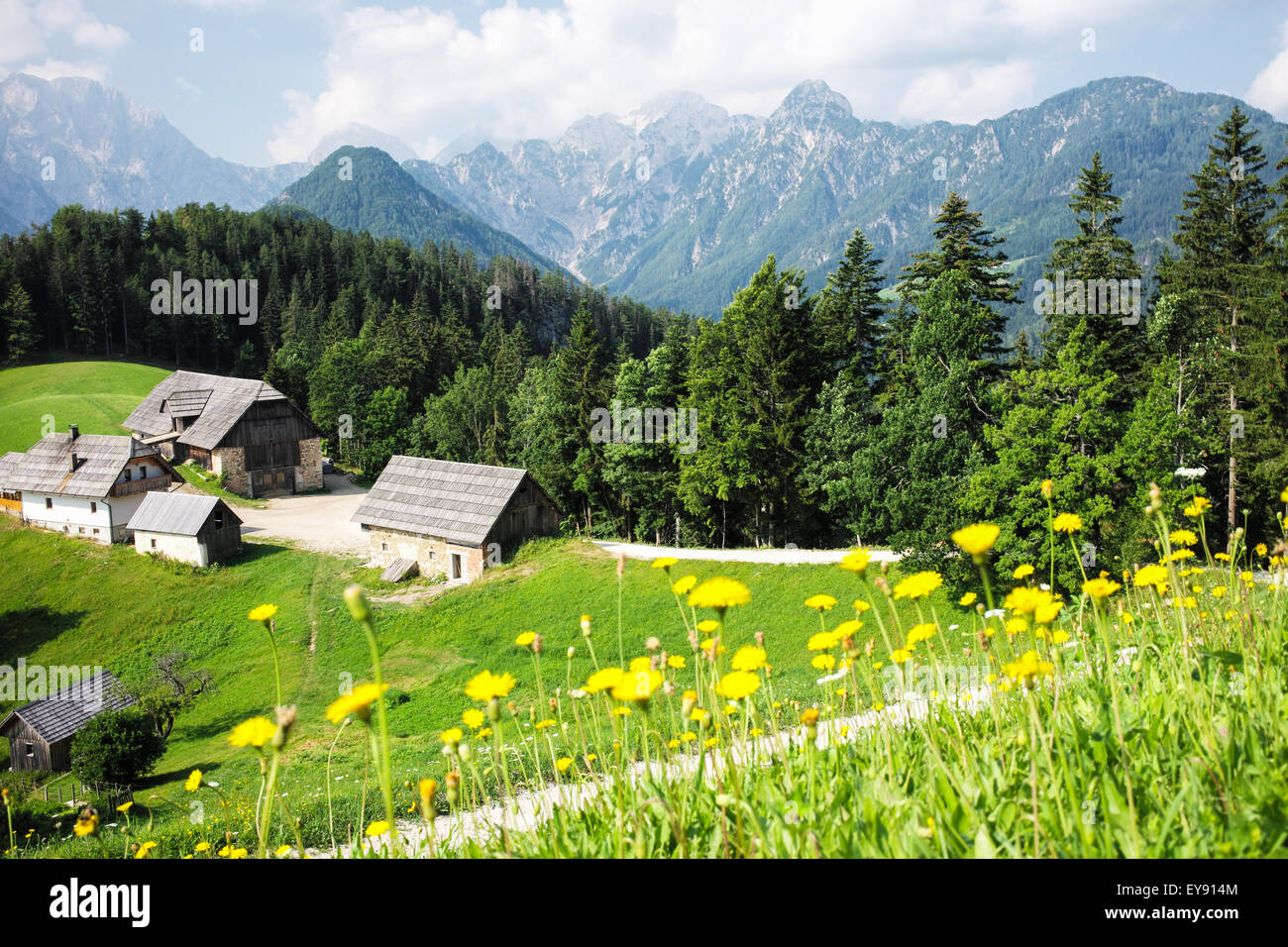 Solcava panoramic road hi-res stock photography and images - Alamy
