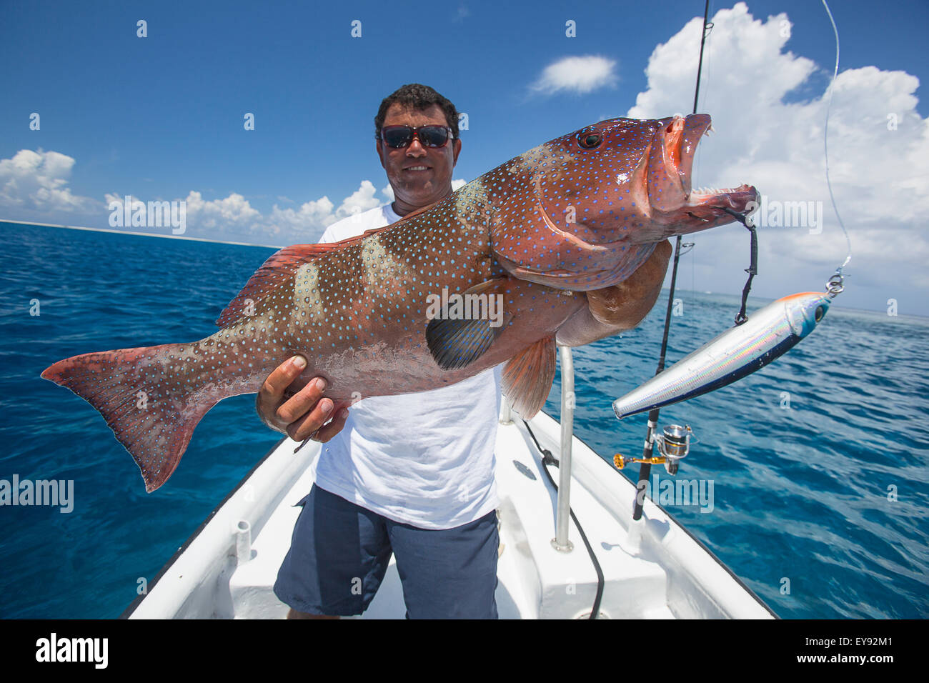 Fisherman holding a fresh caught Grouper fish; Tahiti Stock Photo - Alamy