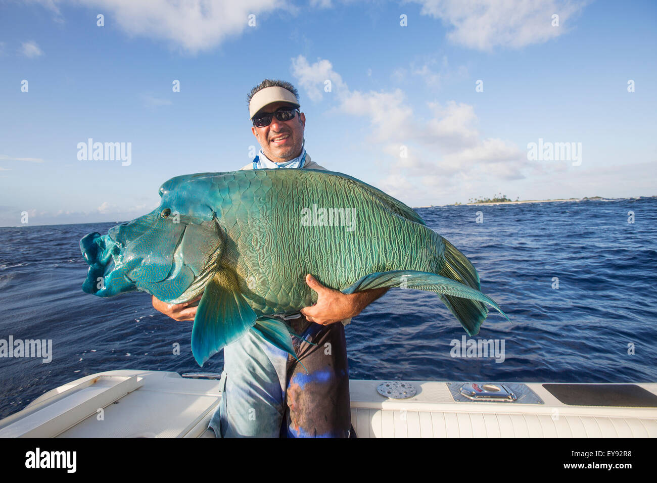 Fisherman holding a fresh caught Napoleon Wrasse (Cheilinus undulatus ...