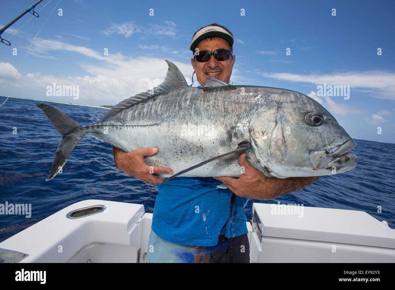 Giant trevally fish hi-res stock photography and images - Alamy