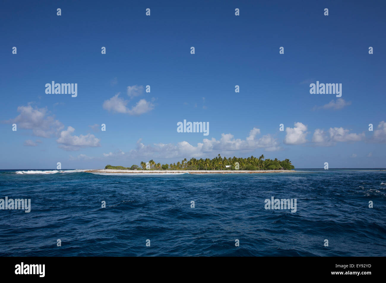Small island with sand and trees; Tahiti Stock Photo - Alamy