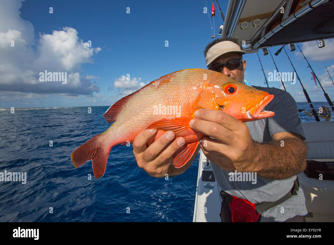 Fisherman holding a fresh caught red fish; Tahiti Stock Photo - Alamy