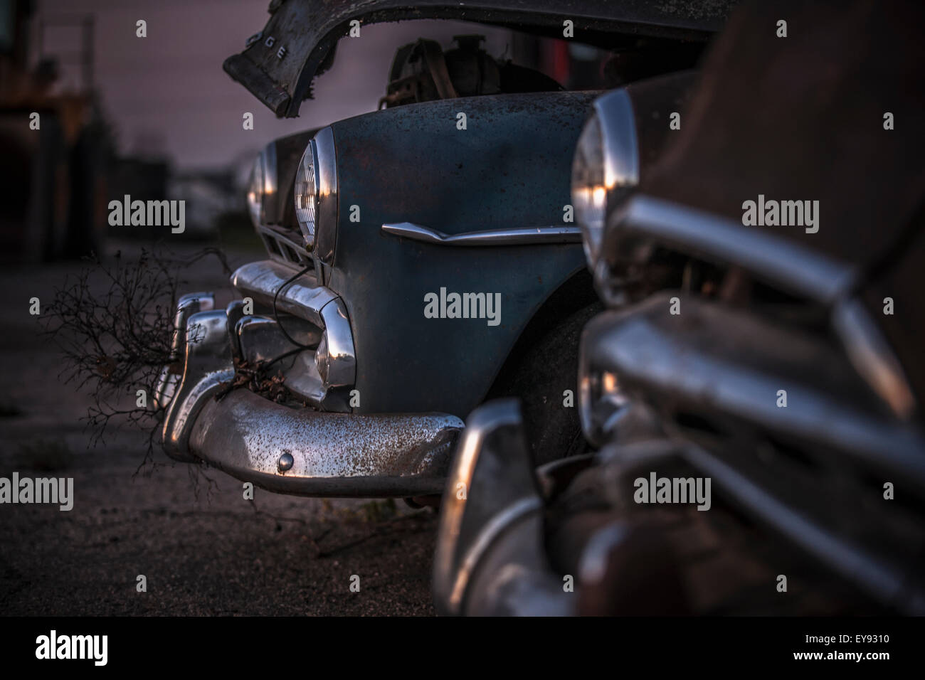 Rear end of vintage cars; Manitoba, Canada Stock Photo - Alamy