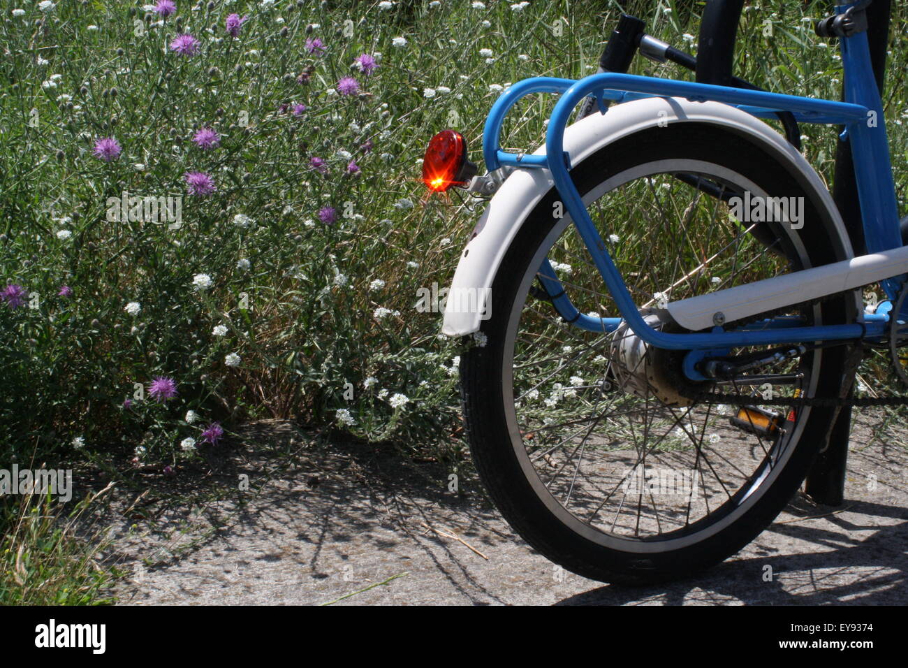 Amica hi-res stock photography and images - Alamy