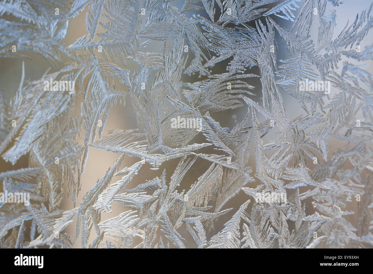 Frost on window; Waterloo, Quebec, Canada Stock Photo - Alamy