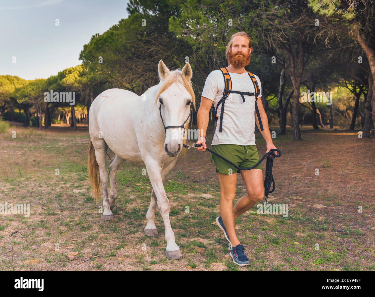 Man holding horse reins hi-res stock photography and images - Alamy