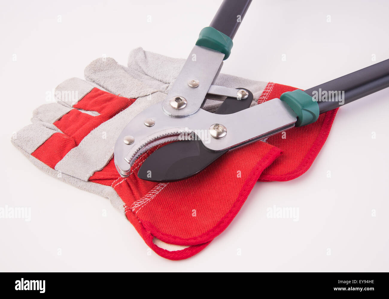 Large tree limb cutters for trimming branches Stock Photo - Alamy