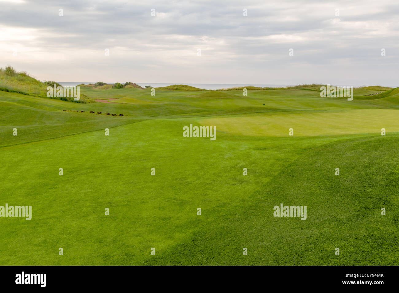Golf course grass hi-res stock photography and images - Alamy