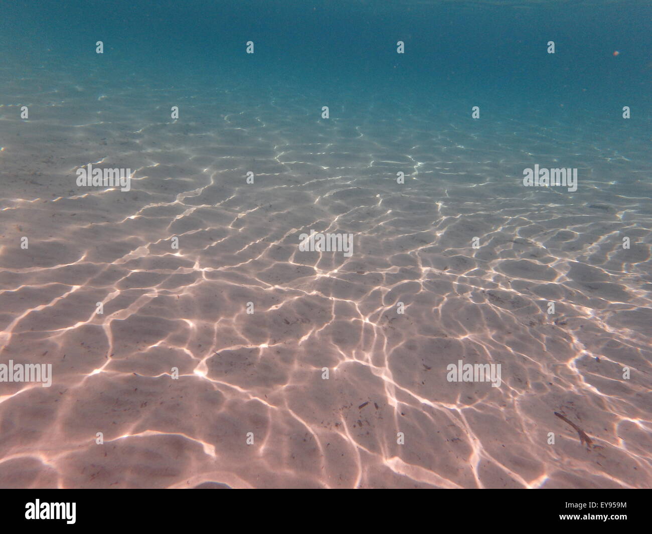 Underwater photography,sea below the surface in shallow and deep waters ...