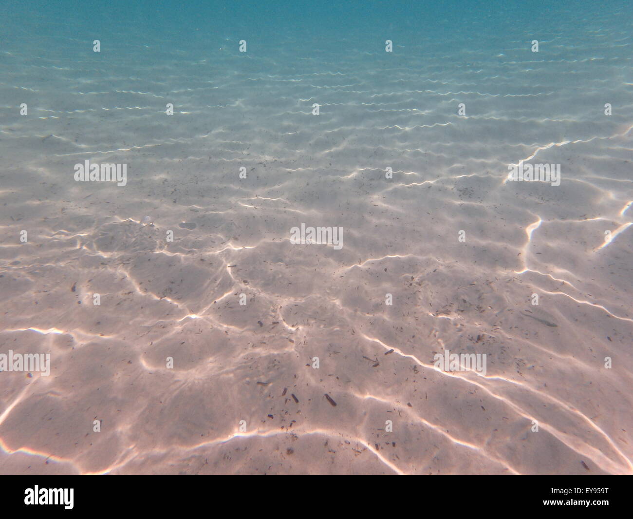 Underwater photography,sea below the surface in shallow and deep waters ...