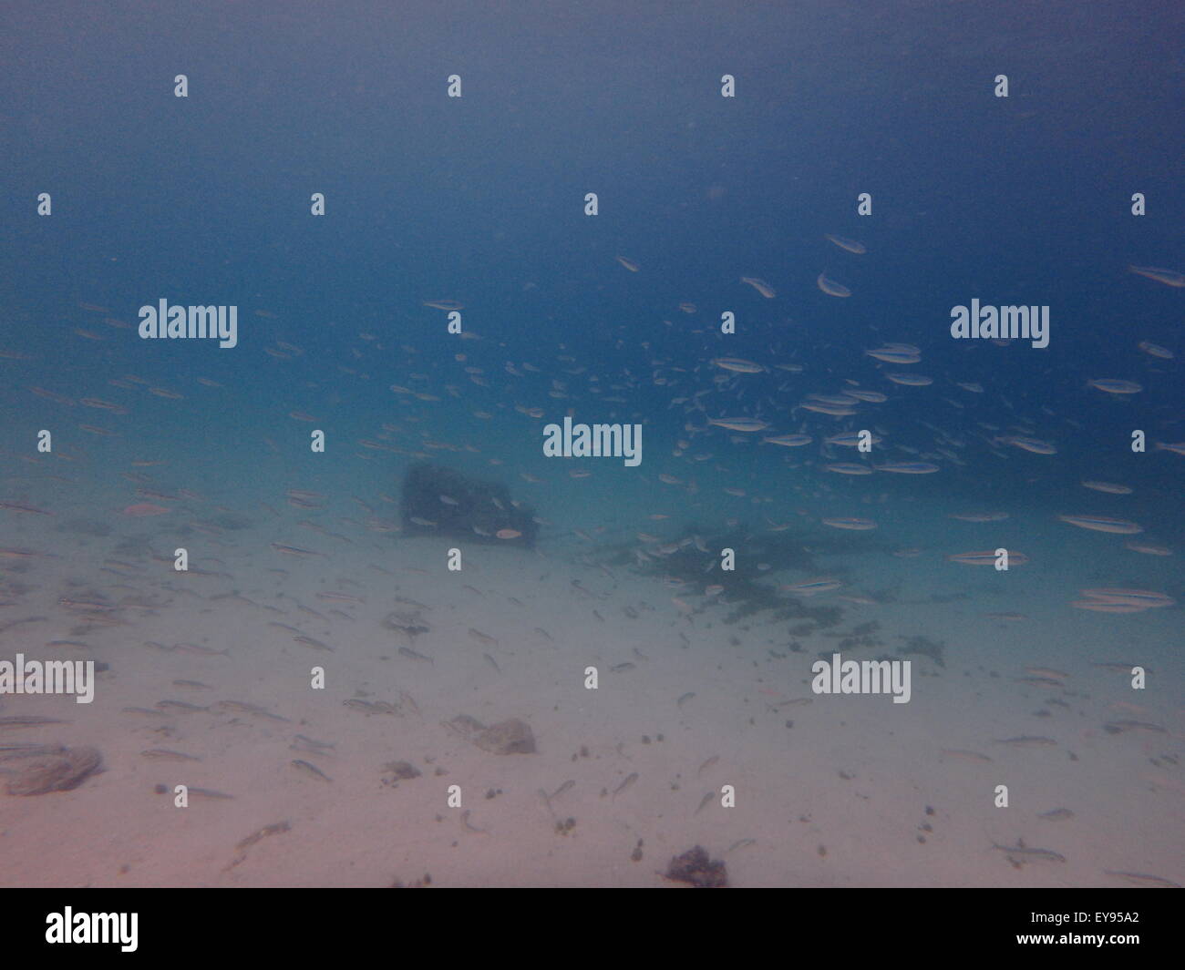 Underwater photography,sea below the surface in shallow and deep waters ...