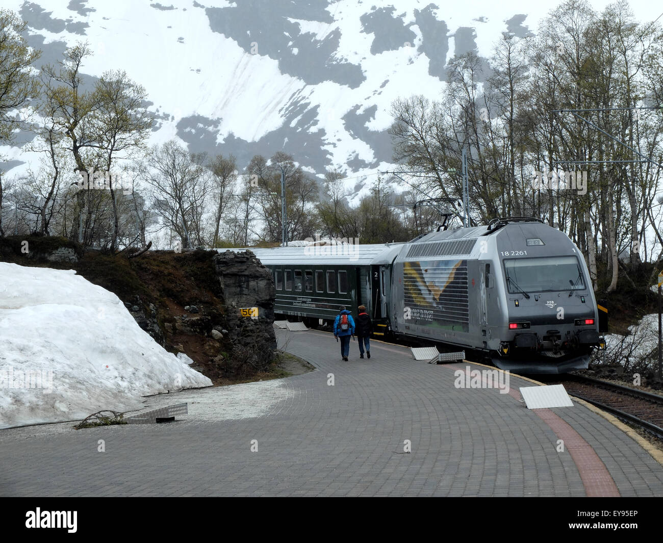 Flåm railway hi-res stock photography and images - Alamy