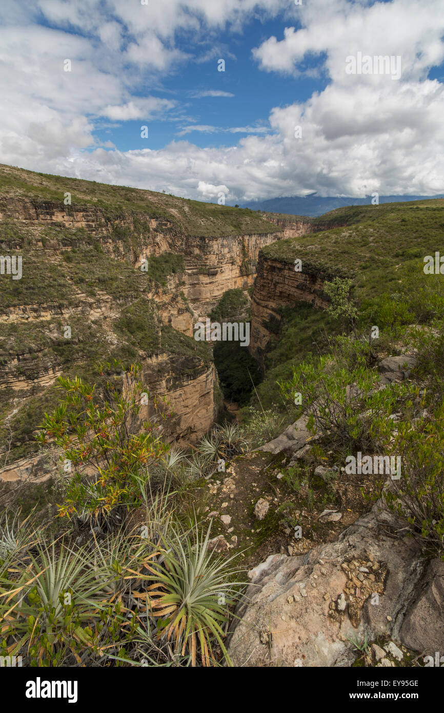 The Toro Toro National Park canyon; Bolivia Stock Photo - Alamy