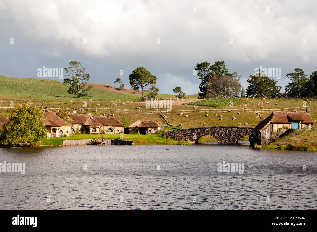 Matamata hi-res stock photography and images - Alamy