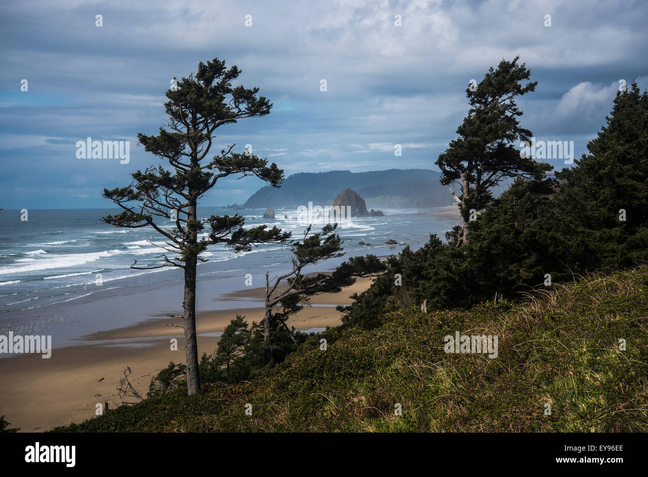 Haystack Rock and Tillamook Head, coastal landmarks; Tolovana, Oregon ...