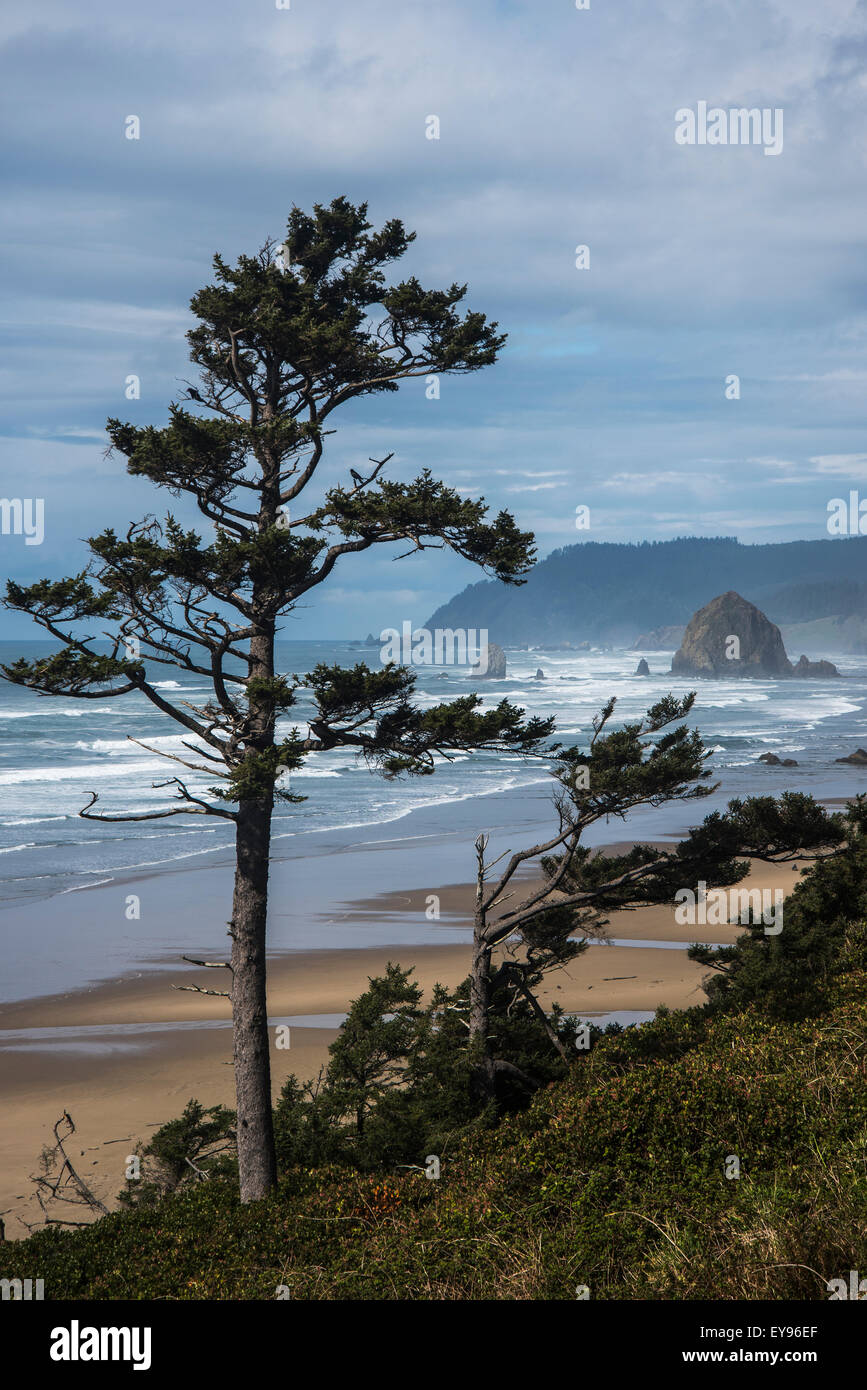 Haystack Rock and Tillamook Head, coastal landmarks; Tolovana, Oregon ...