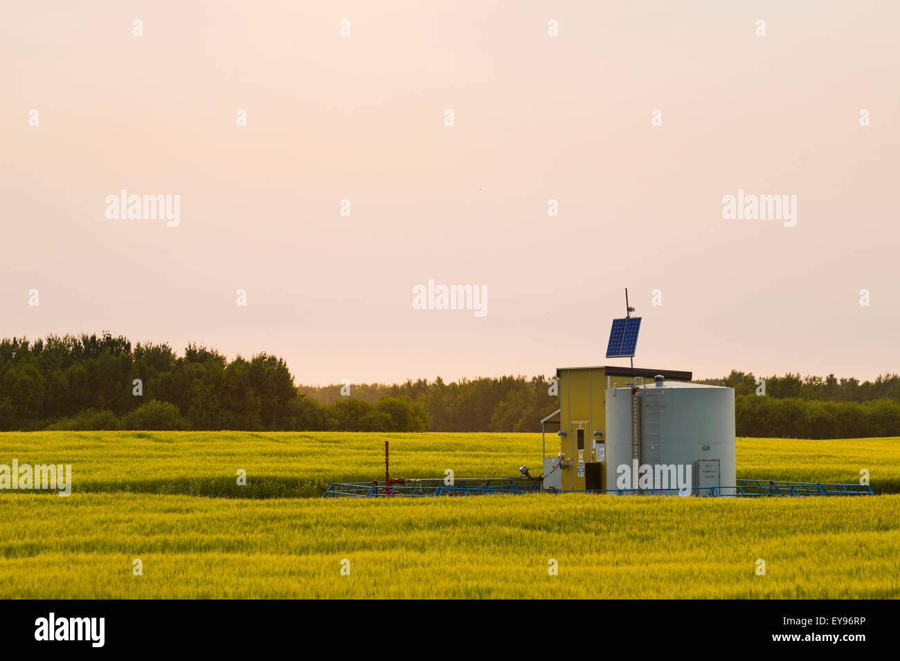 Oil field storage tank and pump station of pipeline in canola field; St ...