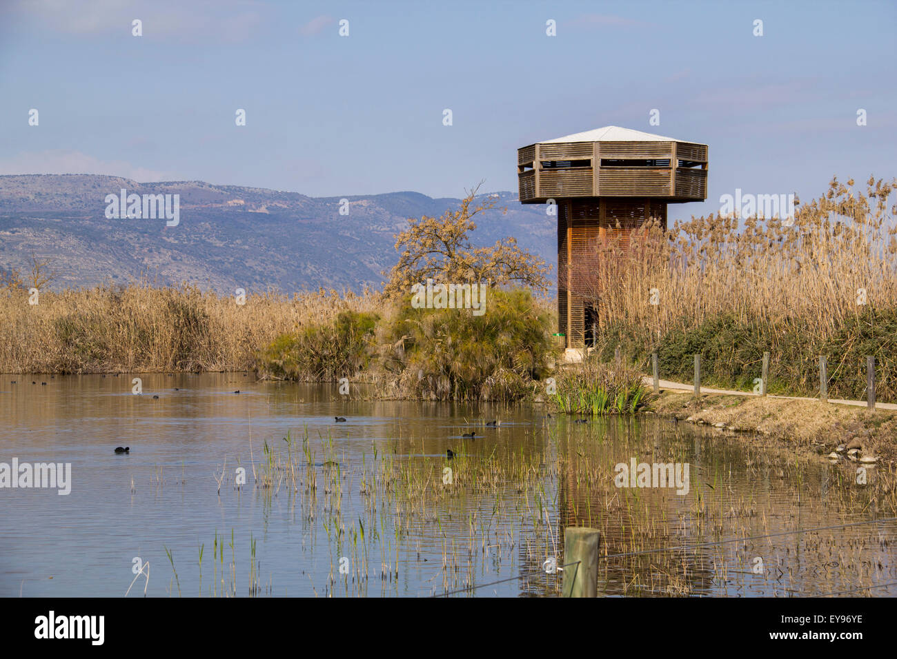 Birds watching Tower in Hula Nature Reserve in north Israel.Lake Hula ...