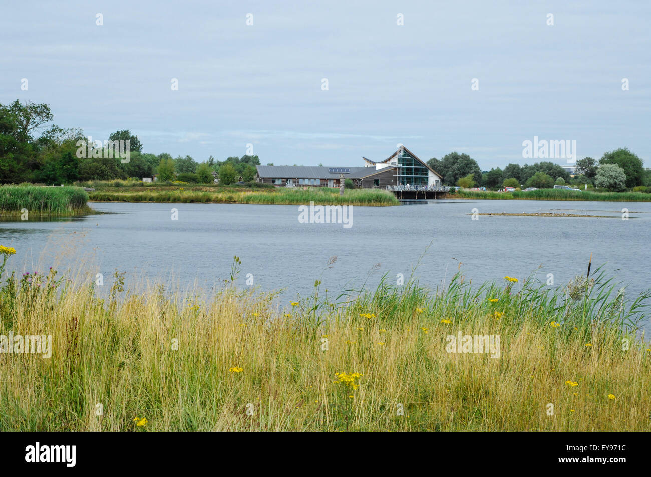 Stanwick lakes Northamptonshire England Stock Photo - Alamy