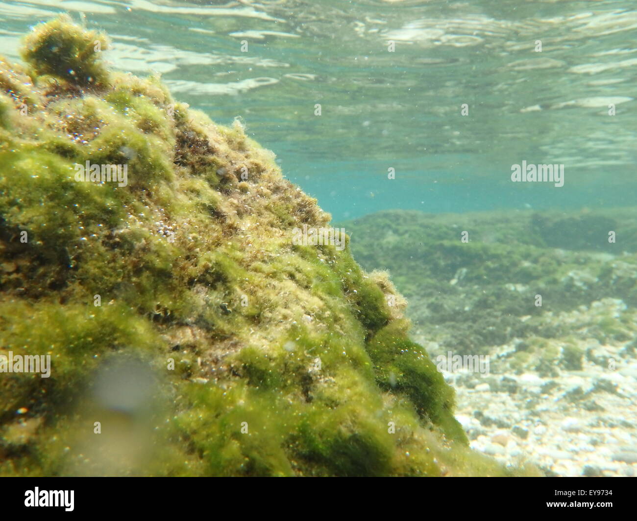 Underwater photography,sea below the surface in shallow and deep waters ...