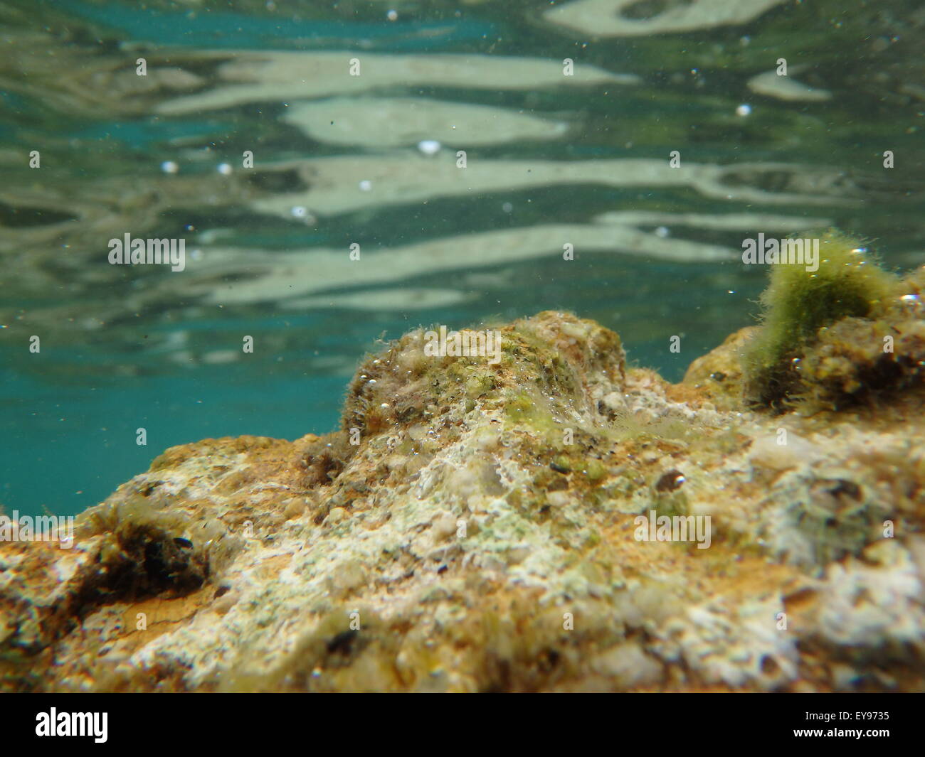 Underwater photography,sea below the surface in shallow and deep waters ...