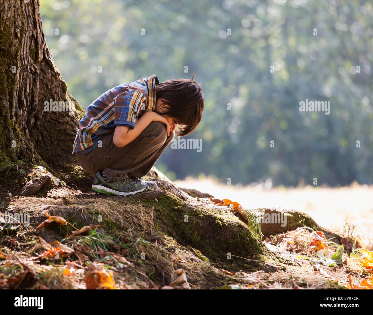 Young boy in a contemplative mood in a forest under an oak tree in a ...