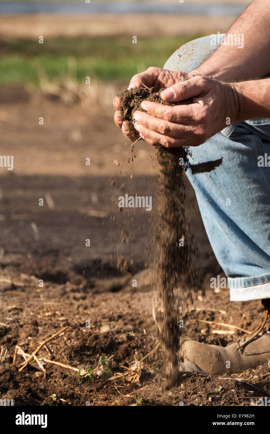Dirt pouring through hands hi-res stock photography and images - Alamy