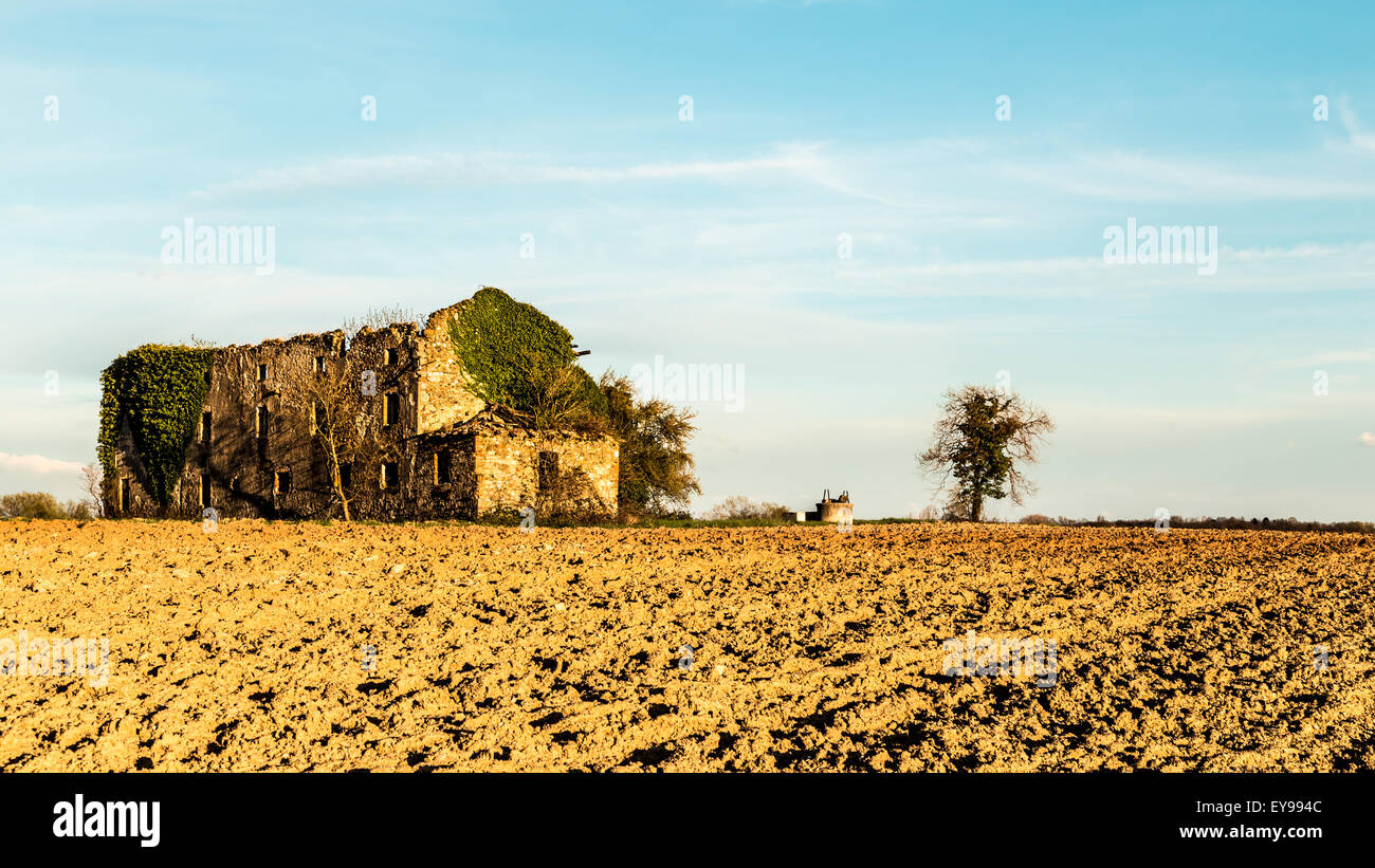 an abandoned and ruined farm in the fields of Italy Stock Photo - Alamy