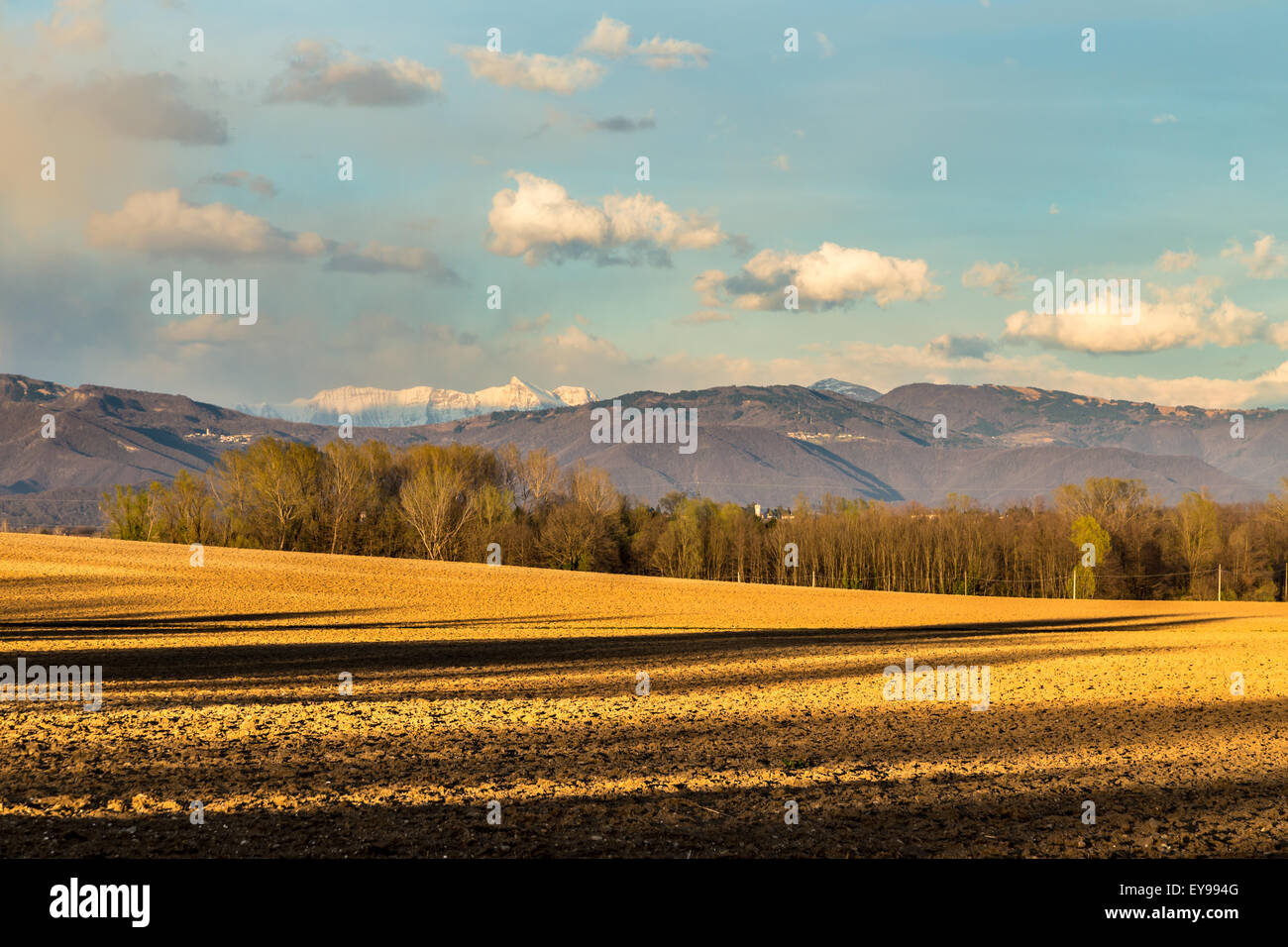 an abandoned and ruined farm in the fields of Italy Stock Photo - Alamy