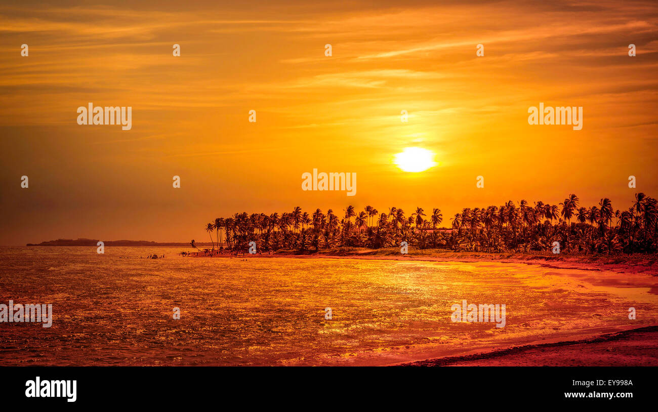 Golden sunset over caribbean sea in Dominican Republic Stock Photo - Alamy