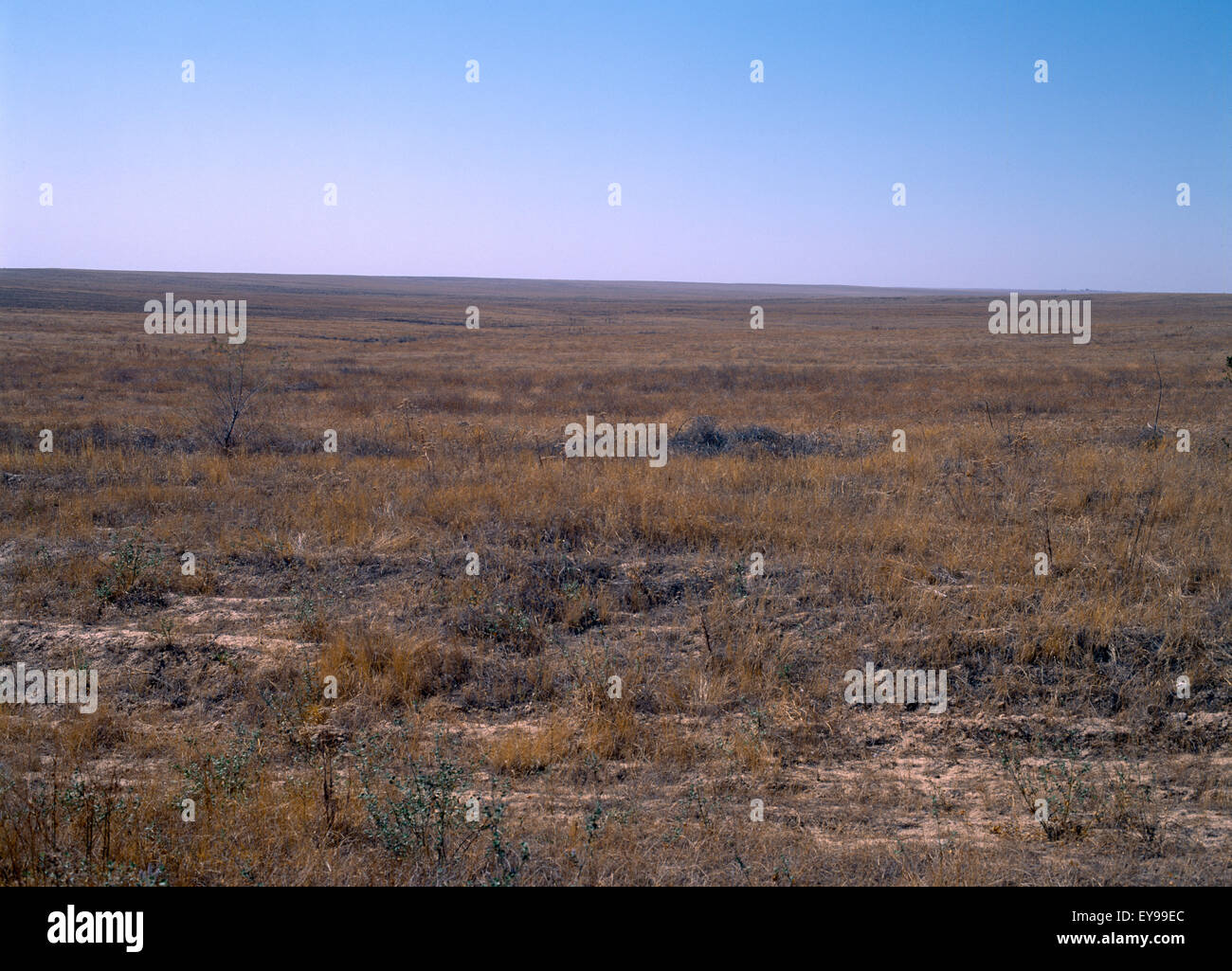 Almaty Kazakhstan Steppe Stock Photo - Alamy