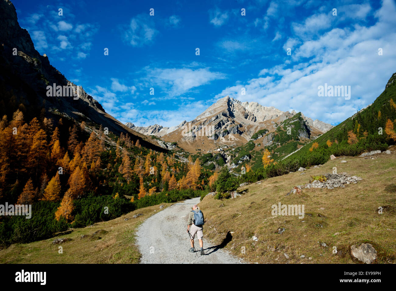 Autumn hiker in the Alps Stock Photo - Alamy