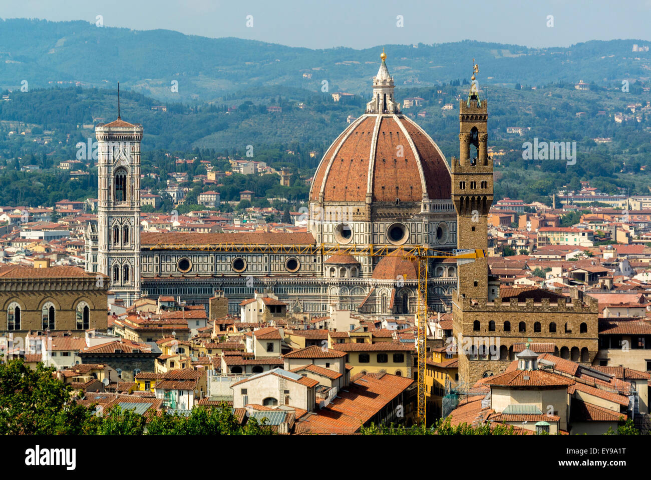 Terracotta facade of the cathedral hi-res stock photography and images ...