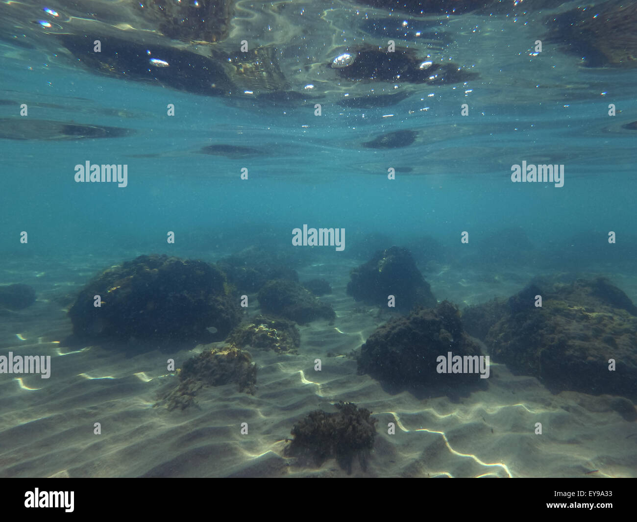 Underwater photography,sea below the surface in shallow and deep waters ...