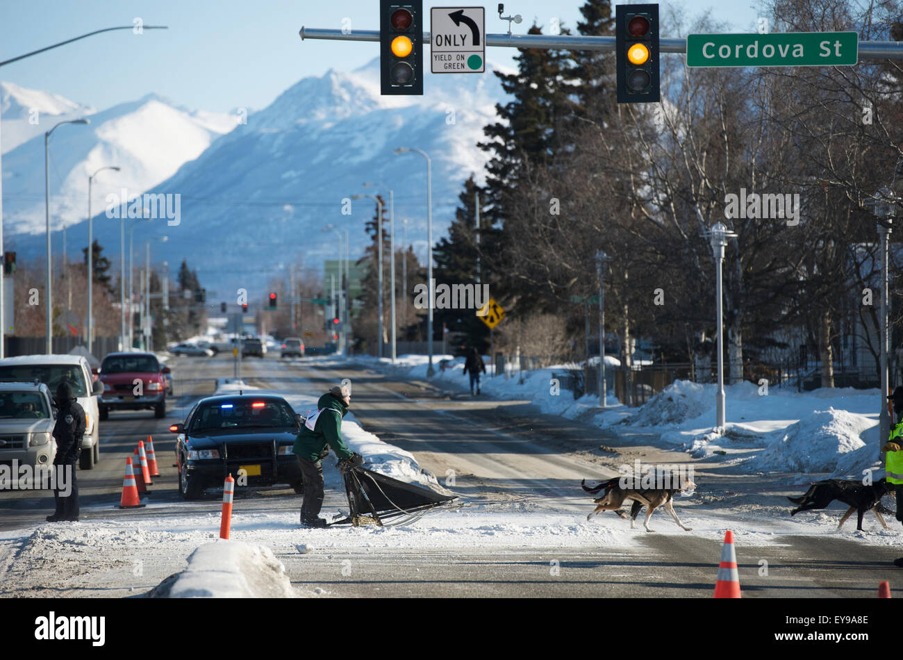 Dogs teams run through the city for the 2011 Fur Rondy World ...