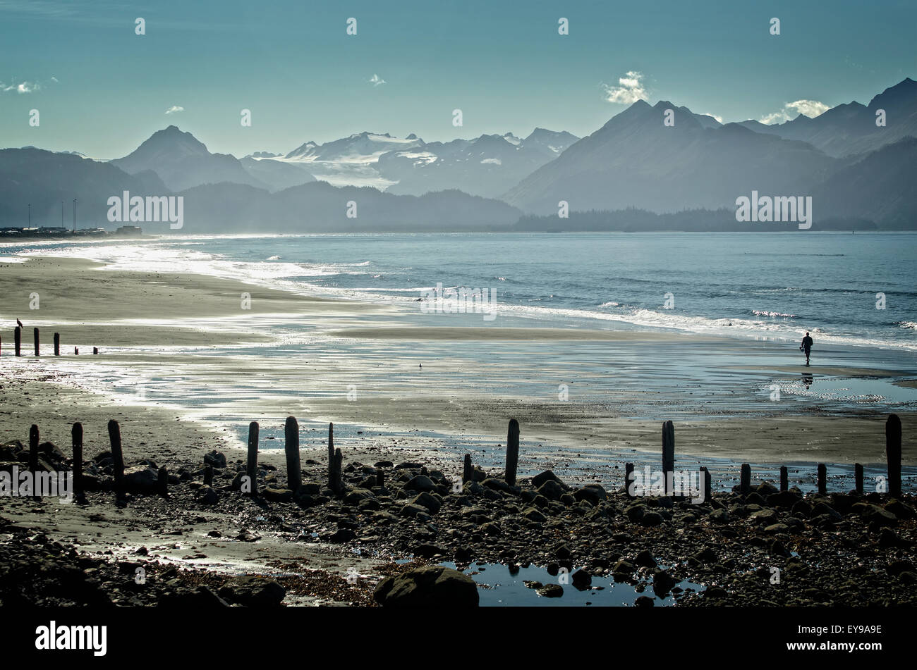 A Homer resident takes a beach walk along the Homer Spit during a low ...