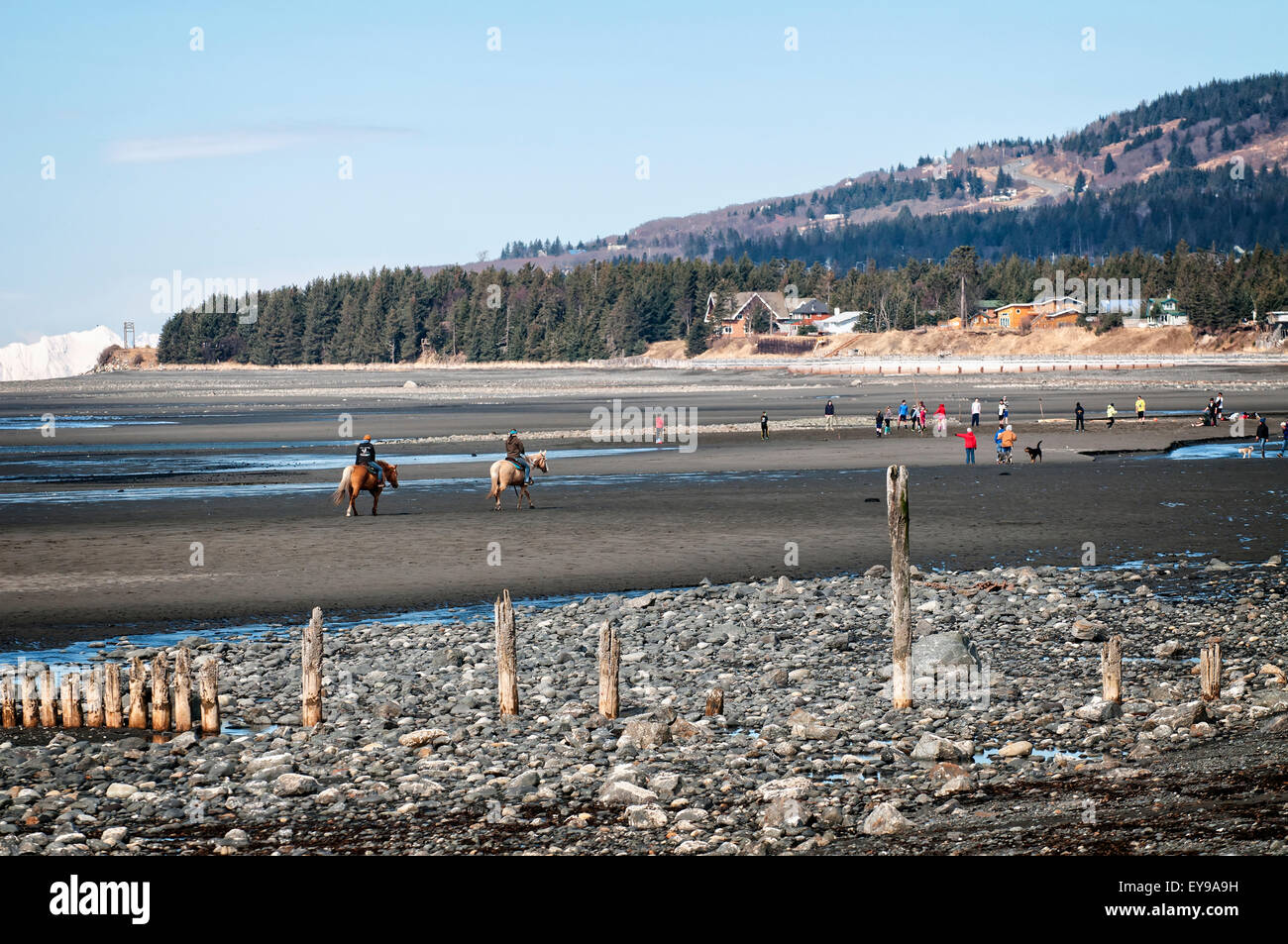Locals horseback riding and beach combing at low tide on Homer Spit ...